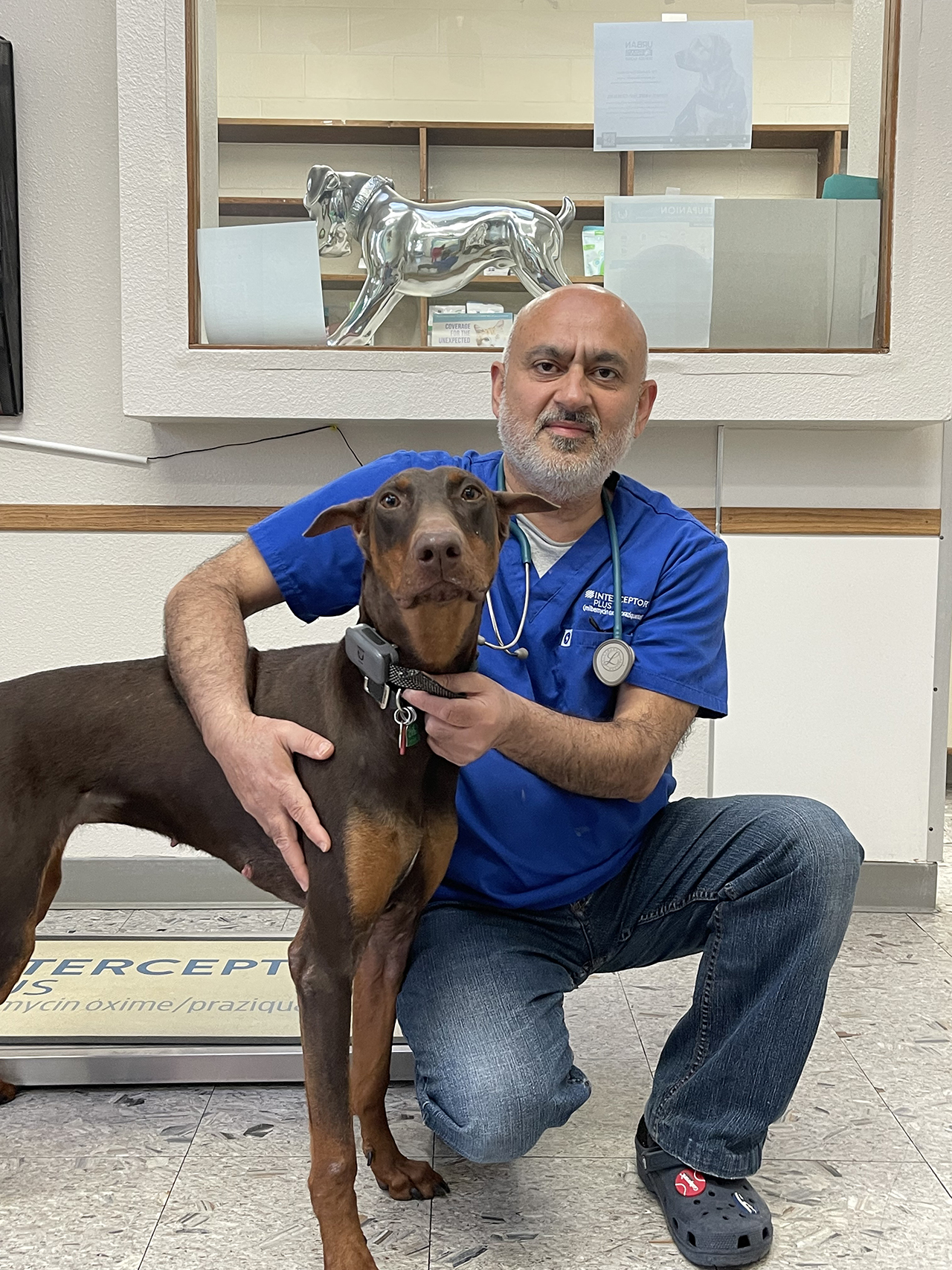 Moichor | Animal Diagnostics